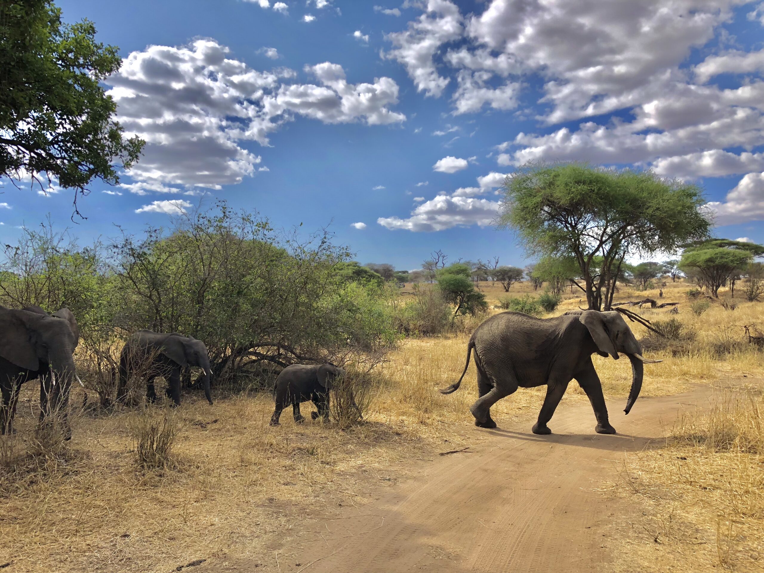 Tanzania Malae Vaalele Faʻafeiloaʻi - Amata lau Taʻaloga ma ...